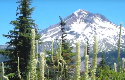 Brightwood - Travel Oregon