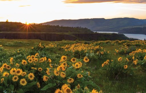 Oregon's Scenic Byways | Oregon's Most Beautiful Drives