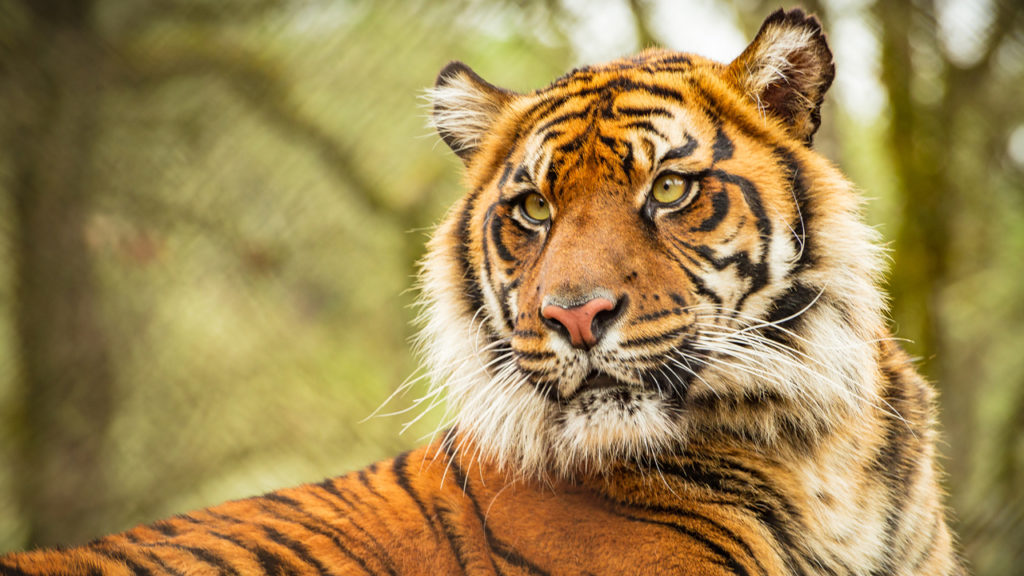 Walk on the Wild Side - Travel Oregon