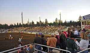 Oregon Rodeo Roundup - Travel Oregon