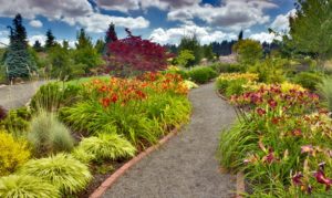 Spring in Bloom - Travel Oregon