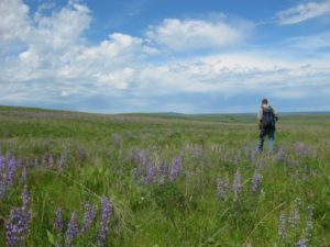 Visiting the Zumwalt Prairie - Travel Oregon