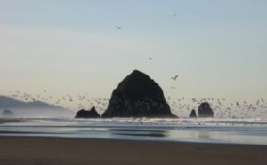 The Oregon Coast Rocks - Travel Oregon