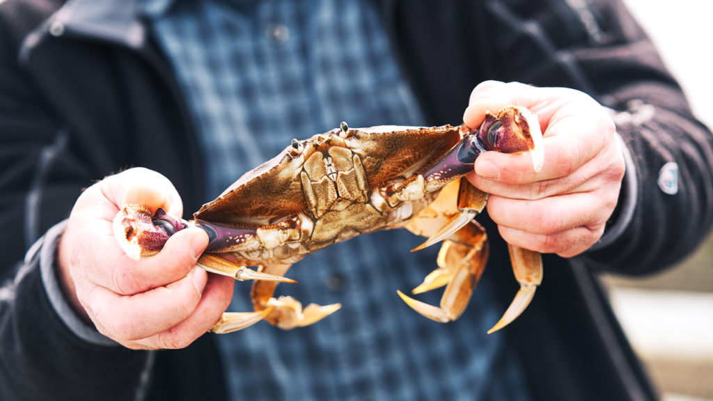 Whales, Storms and Brews on The People's Coast - Travel Oregon