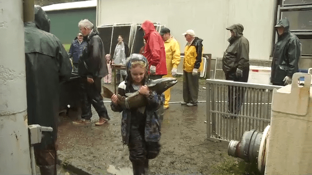 Trask Hatchery - Travel Oregon