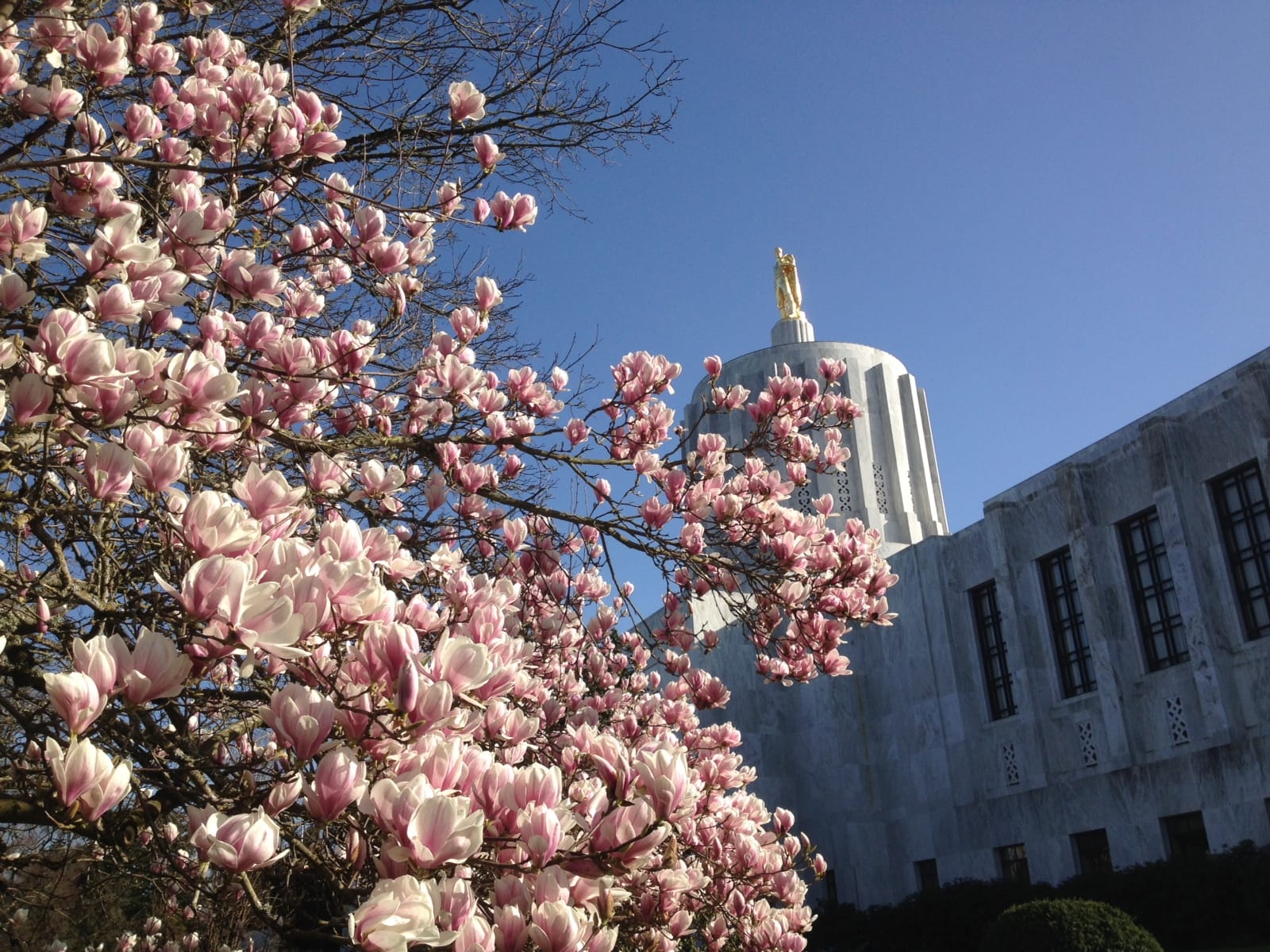 Grant's Getaways: Oregon's Capitol Mall in the Spring