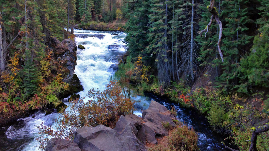 Top Fall Hikes - Travel Oregon