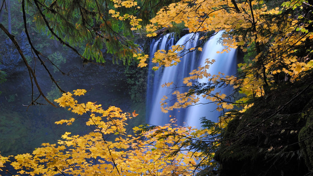 Top Fall Hikes - Travel Oregon