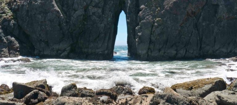 Explore Harris Beach State Park - Travel Oregon