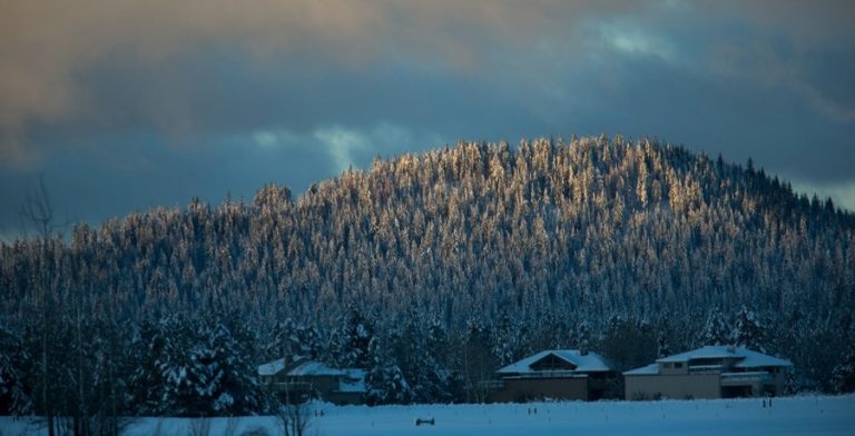 Road Trip: 7 Winter Wonders - Travel Oregon