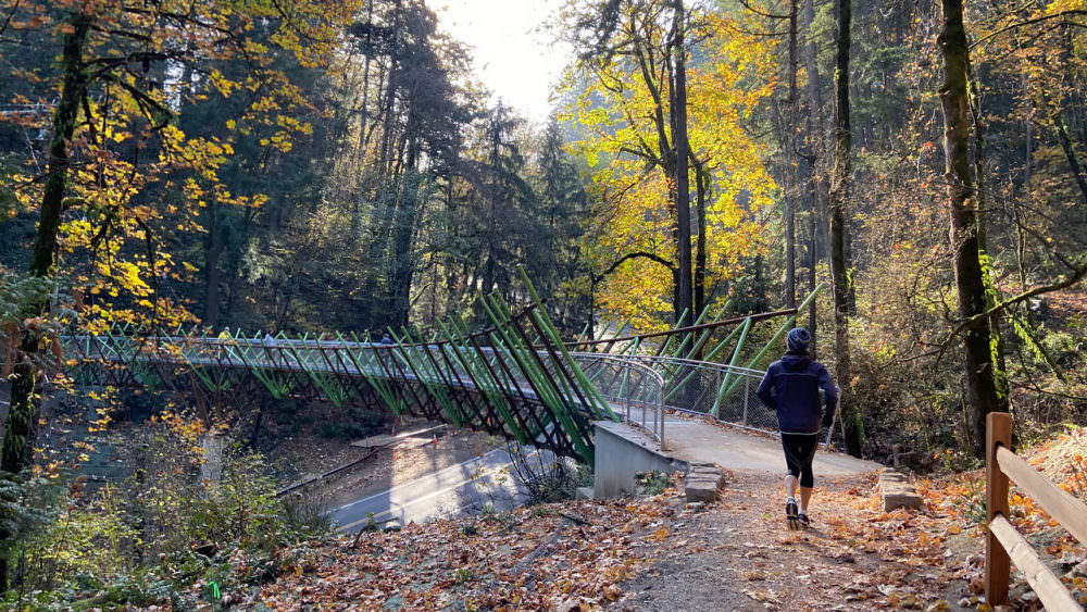 How to Hike in Forest Park - Travel Oregon