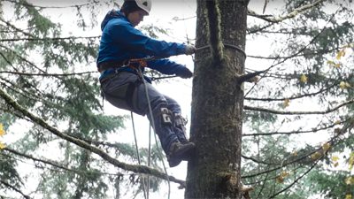 3 Working Forests That Are Also Great Places to Play - Travel Oregon