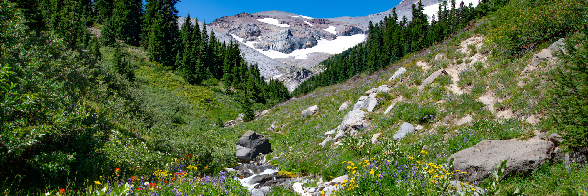 Summer Adventures at Oregon Ski Areas - Travel Oregon