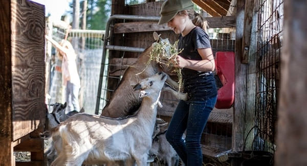 Family-Friendly Fall Retreats in Ashland - Travel Oregon