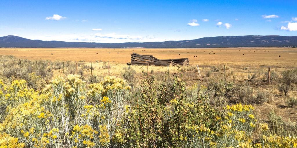 Autumn Adventure Around the Ochocos - Travel Oregon