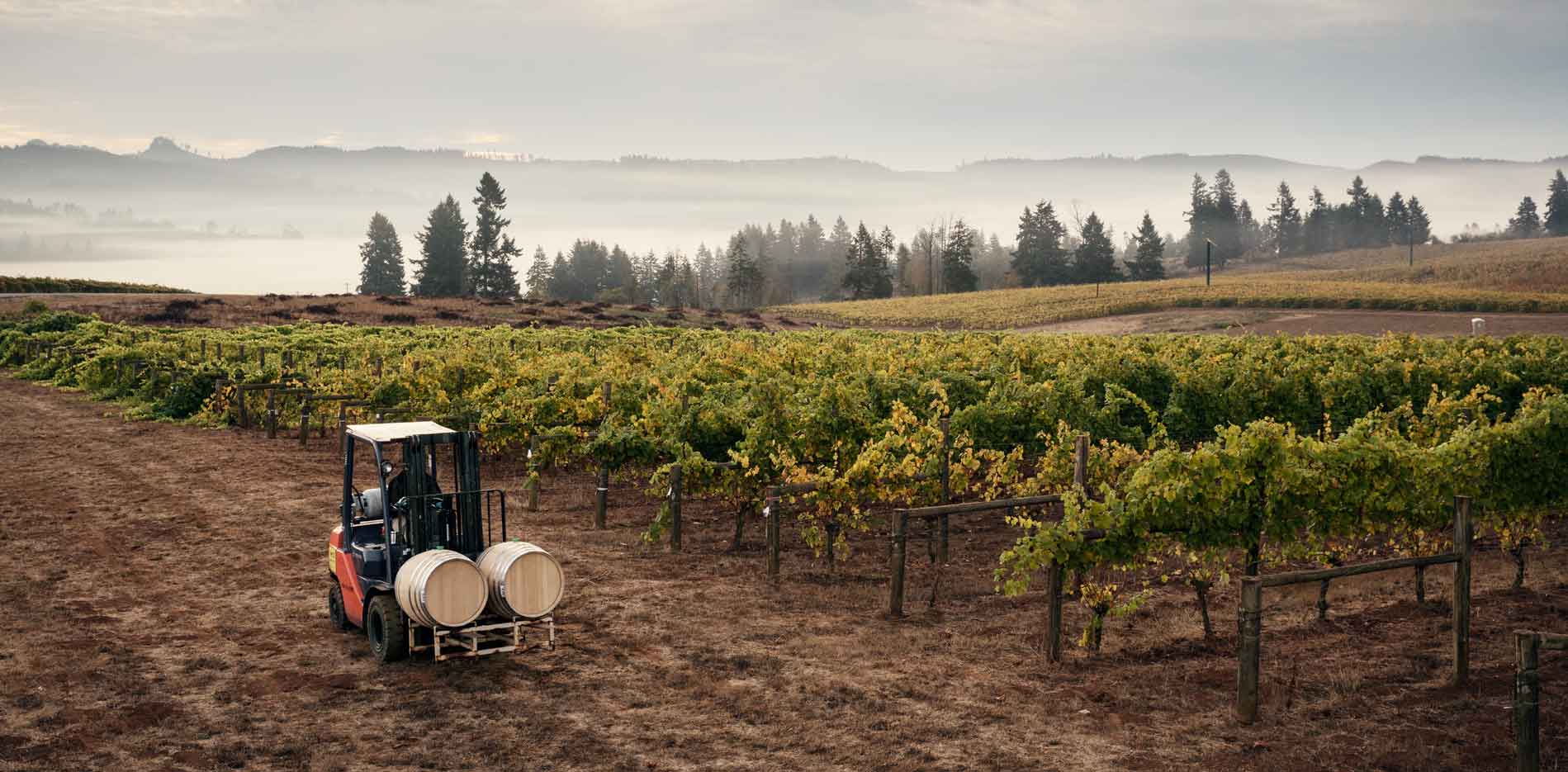 Willamette Valley Oregon | Travel, Wine, & Events