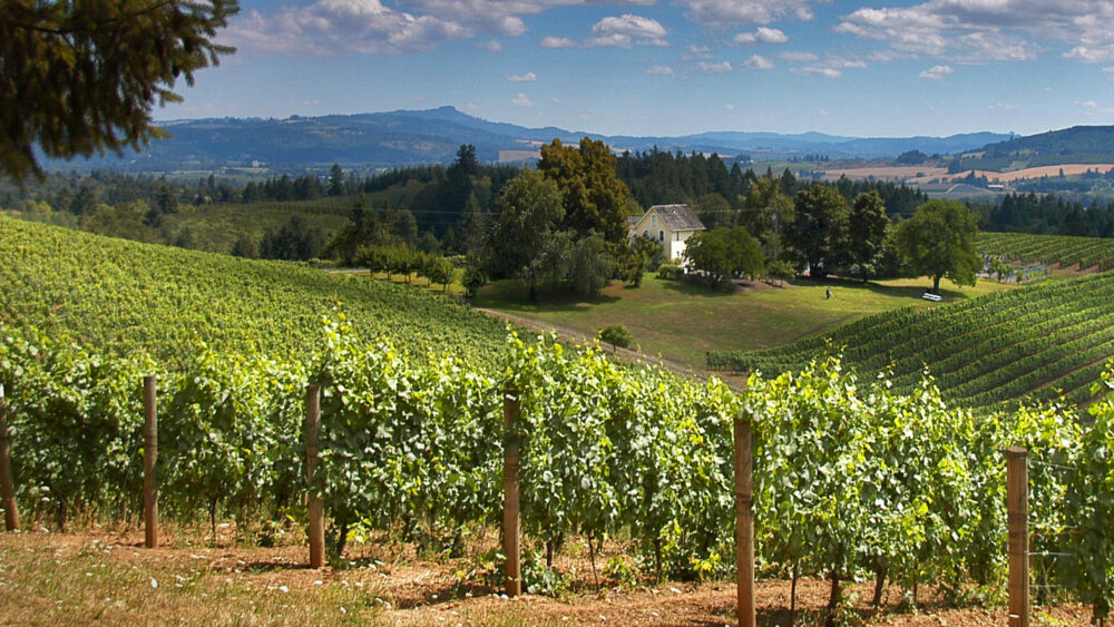 Cheers to Oregon Wine Month - Travel Oregon