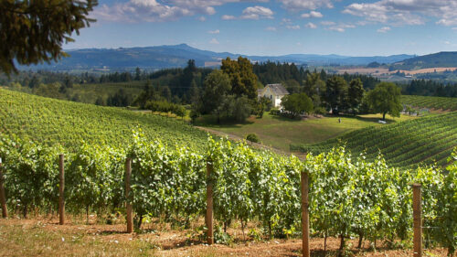 Cheers to Oregon Wine Month - Travel Oregon
