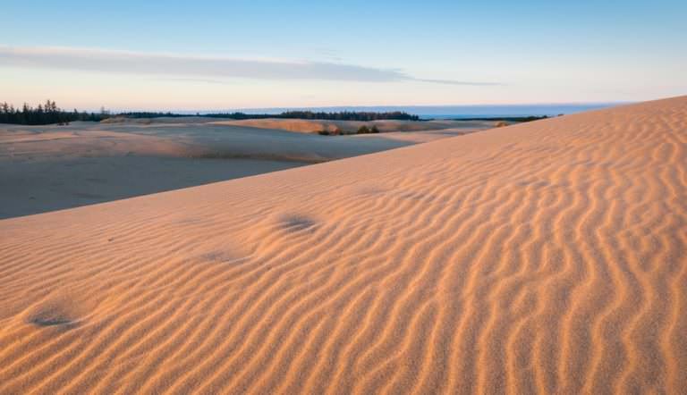 A Local’s Guide to the Oregon Dunes - Travel Oregon