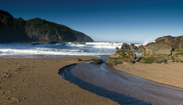 Why You’ll Love the Oregon Coast Trail - Travel Oregon