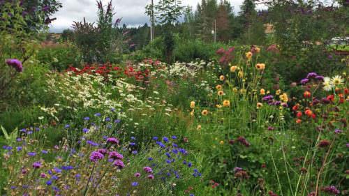 Umpqua Rivier Scenic Byway | Umpqua Oregon