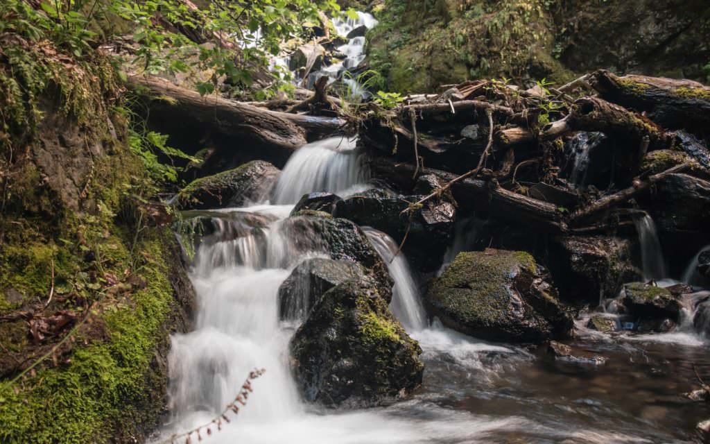 Finding the Gorge's Hidden Waterfalls - Travel Oregon