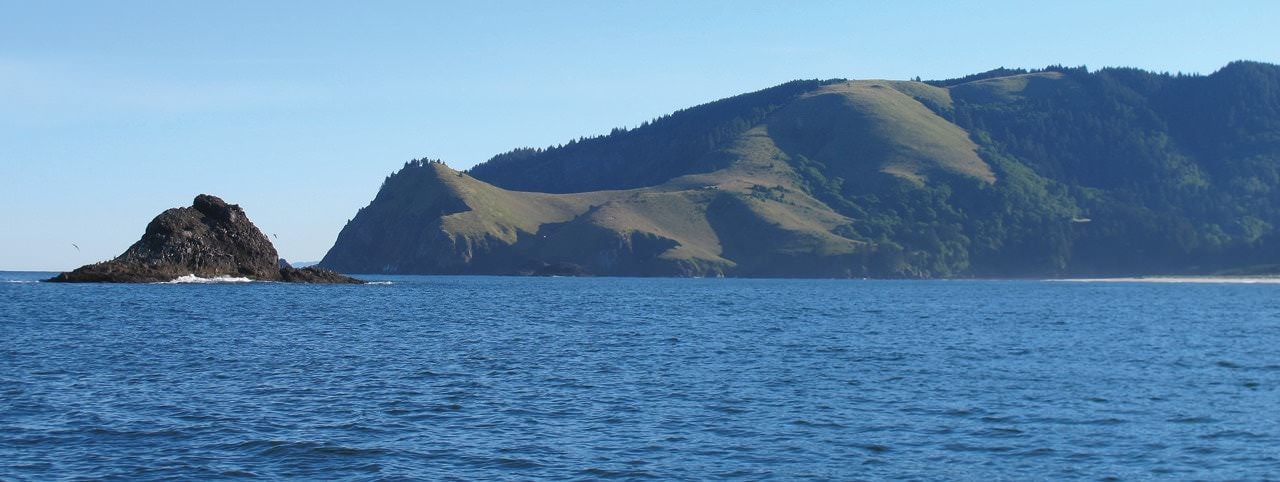 Protect Wildlife at Oregon's Marine Reserves - Travel Oregon