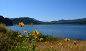 Cycle Oregon Spotlight: Dorena Lake - Travel Oregon