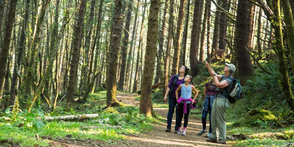 An Eye-Opening Hike to Cascade Head - Travel Oregon