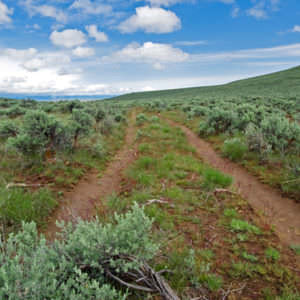 The True Story of the Oregon Trail - Travel Oregon