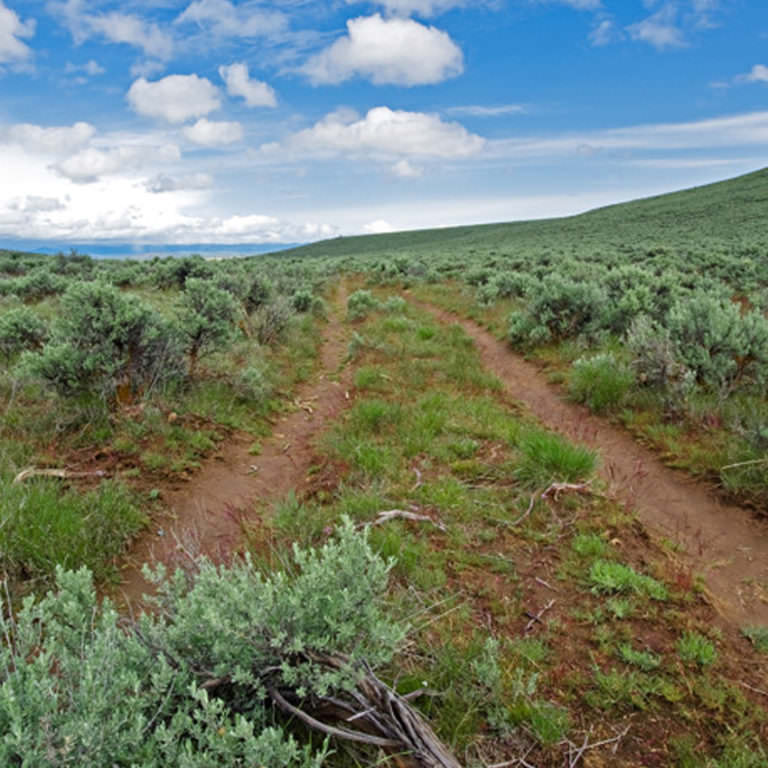 The True Story of the Oregon Trail - Travel Oregon