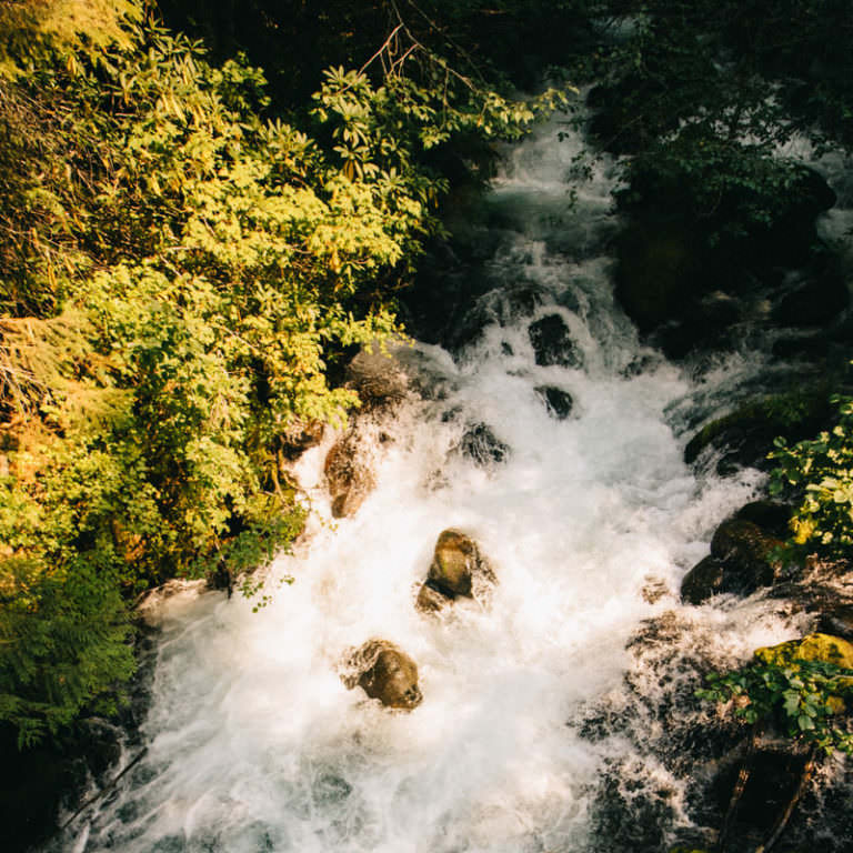 Behold the Beauty of Marion Falls - Travel Oregon
