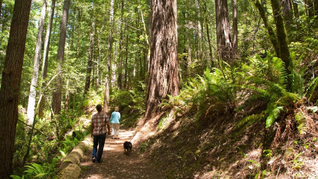 5 Stress-Busting Hikes in Southern Oregon - Travel Oregon