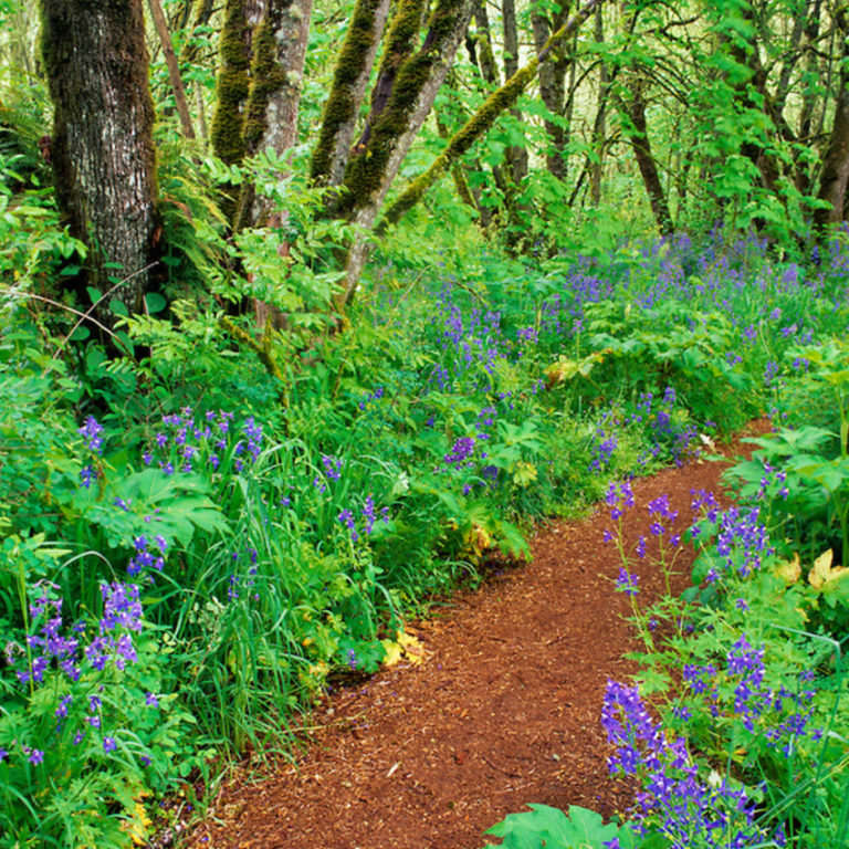Top Things to Do in Oregon This Spring - Travel Oregon