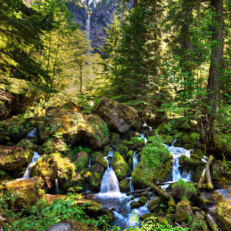 Top Things to Do in Oregon This Spring - Travel Oregon