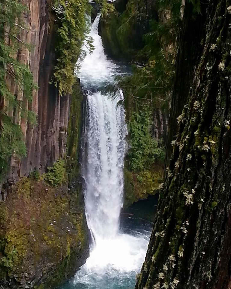 Kid-Friendly Waterfall Adventures in Southern Oregon - Travel Oregon