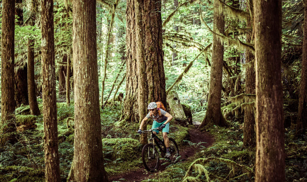 5 Ways to Love the McKenzie River - Travel Oregon