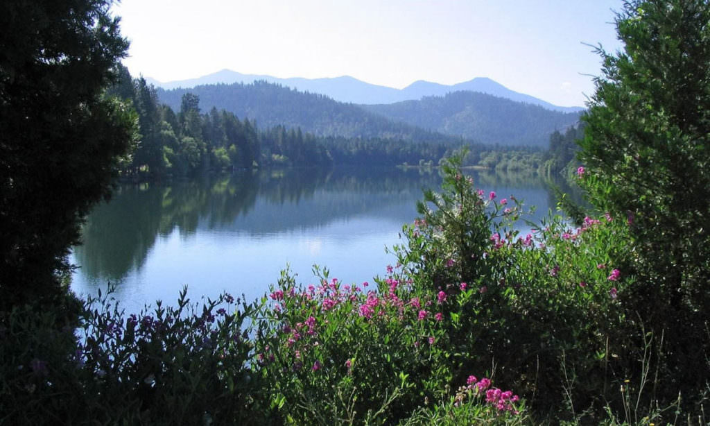 10 Oregon Campgrounds to Visit This Summer - Travel Oregon