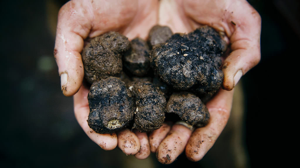 Taste Oregon’s Most Iconic Ingredients - Travel Oregon