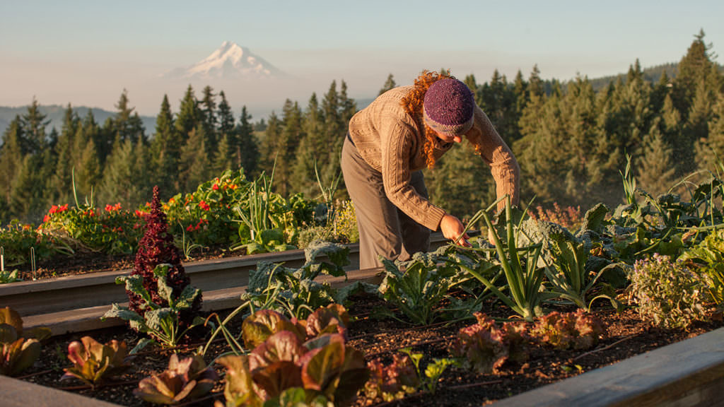 Cool Places to Stay for Farm Getaways - Travel Oregon
