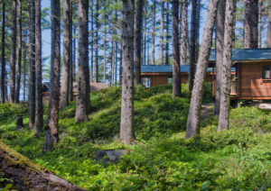 Cool Cabins for Cozy Getaways - Travel Oregon