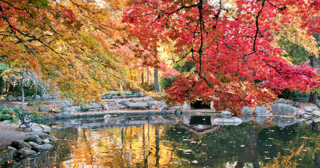 Winter Magic in Oregon - Travel Oregon