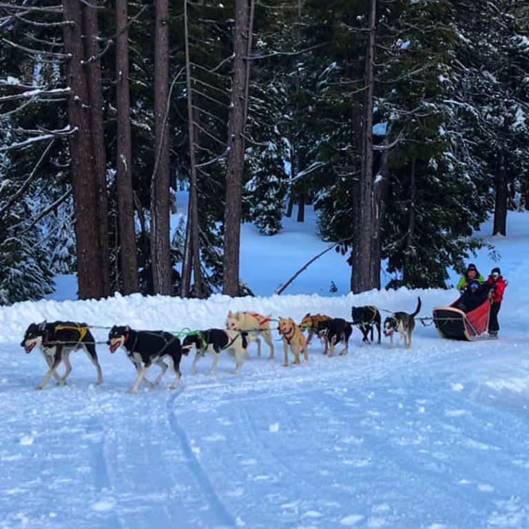 Alpine Adventure of a Lifetime with Oregon Trail of Dreams - Travel Oregon