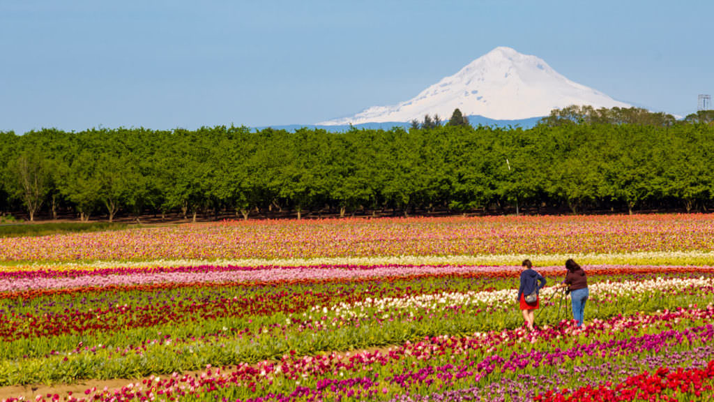 How to Spring Like an Oregonian - Travel Oregon