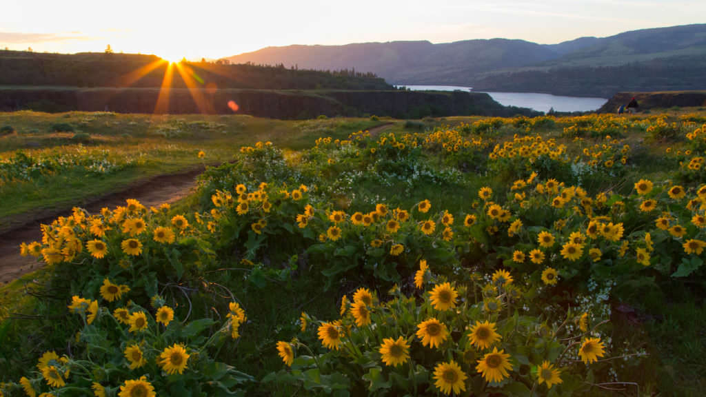 A Lot to Love About Oregon's Seasons - Travel Oregon