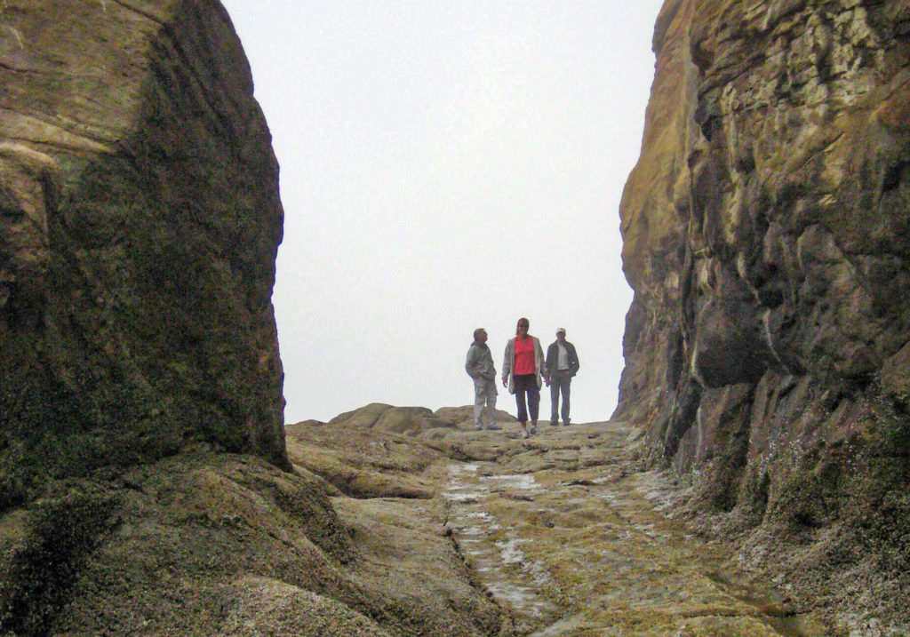 Los Lugares Más Sorprendentes De La Costa De Oregon - Travel Oregon