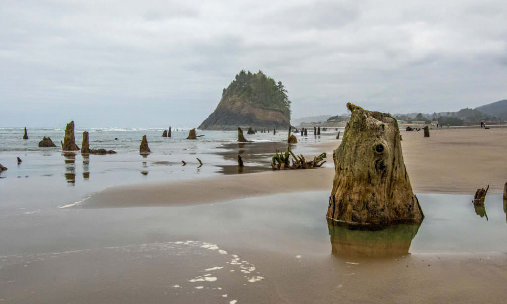 Los Lugares Más Sorprendentes De La Costa De Oregon - Travel Oregon