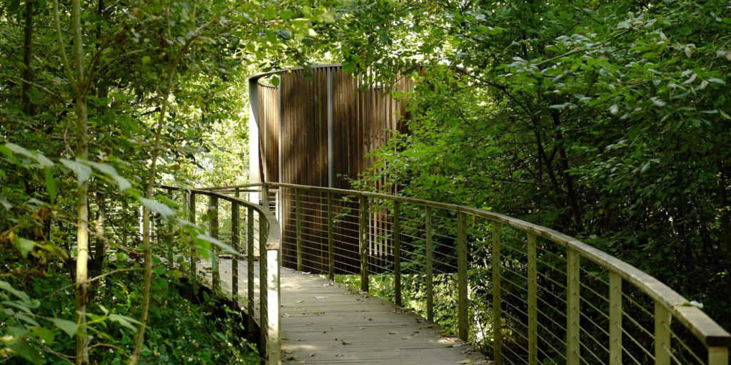 10 Things to Know About the Sandy River Delta - Travel Oregon