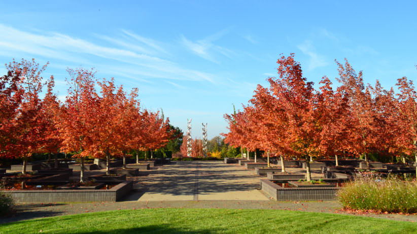 4 Stunning Seasons at The Oregon Garden - Travel Oregon