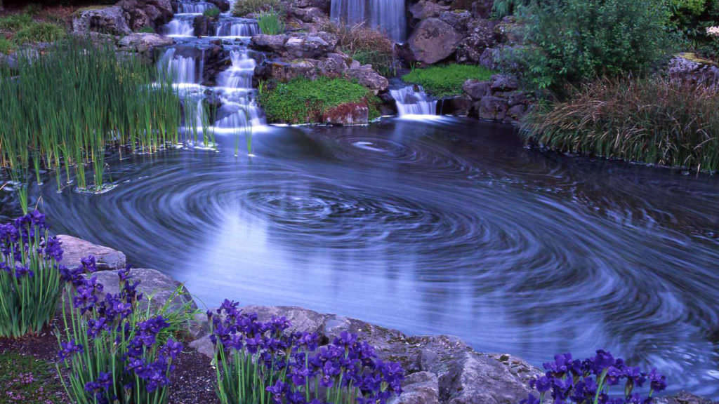 4 Stunning Seasons at The Oregon Garden - Travel Oregon